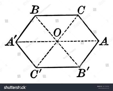 Picture Showing Hexagon Divided Into Six Stock Vector Royalty Free Shutterstock