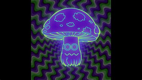 Psilly Heads Live Stream Youtube