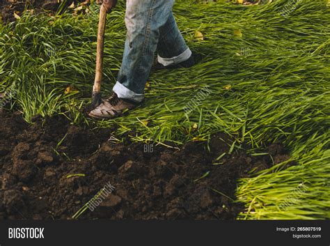 Man Digging Garden Image Photo Free Trial Bigstock