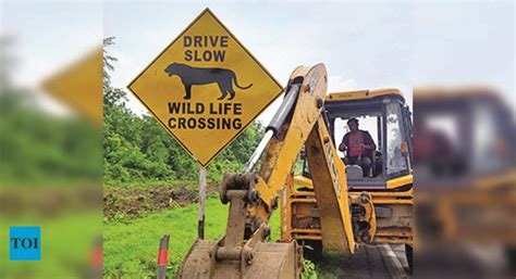 Highway Police Save Wildlife From Road Hits Times Of India