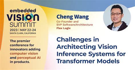 Challenges In Architecting Vision Inference Systems For Transformer