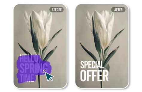 Edit Text In Photos Online For Free Seapik