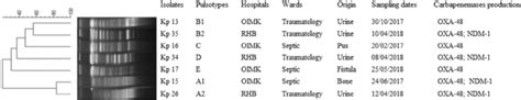 Dendrogram Generated By UPGMA Algorithm FPQuest Software Showing The