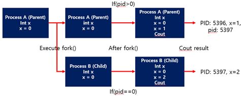 [os] what is the fork function deepdivetech