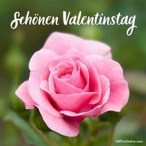 Valentinstag Bilder Für Whatsapp Und Zum Teilen Gbpicsonline