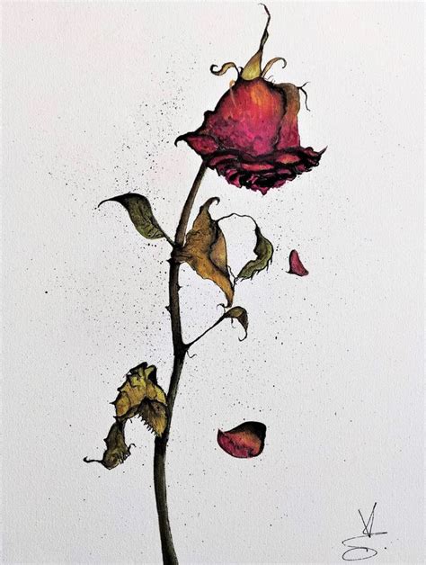 The Rose That Died Rose Art Painting Rose Drawing