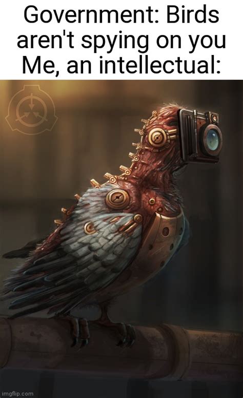 Scp 1678 B Meme R Dankmemesfromsite19