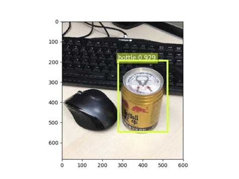 Why I Use The Example Code And Pretrained Model On My Own Test Image