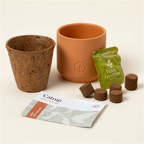 Uncommon Goods Catnip Terracotta Grow Kit Catnip Grow Kit
