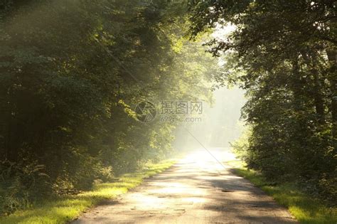 明亮的早晨阳光照入寒高清图片下载 正版图片506979779 摄图网