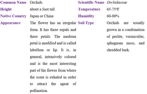 Orchids Education Moore Exotics