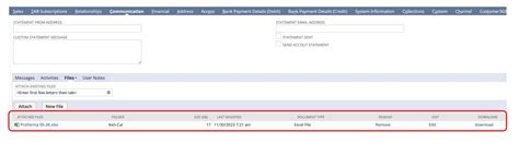 Step By Step Guide To Creating A Customer Record In Netsuite