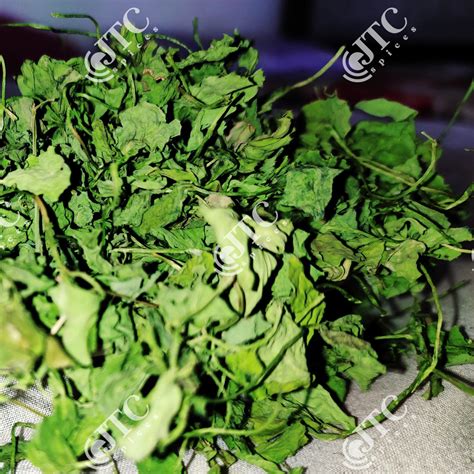 Kasuri Methi | Jagdamba Trading Company