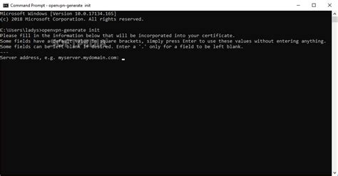 Openvpn Configuration Generator Download Softpedia