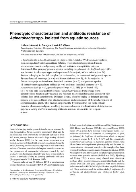 Pdf Phenotypic Characterization And Antibiotic Resistance Of Acinetobacter Spp Isolated From