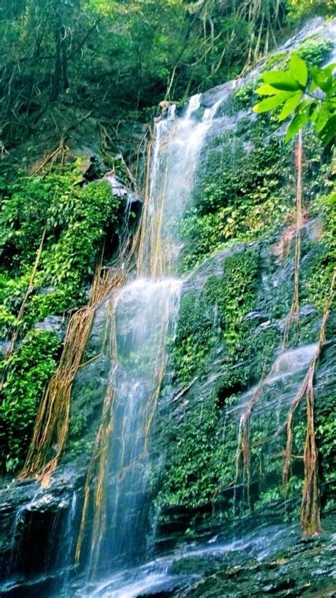 Western Ghats Waterfalls