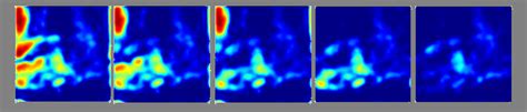 sample steps from the iterative reference spectra selection the
