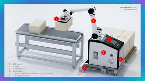 Palletizing Perfection Unpacking The Power Of Cobot Integrated Solutions