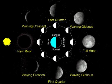 Quarter Moon Definition