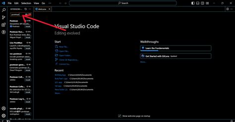 Installing Postman Extension On Visual Studio Code VSCode DEV Community