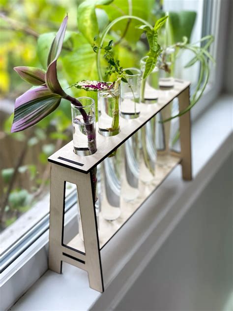 Diy Plant Propagation Station The Handymans Daughter