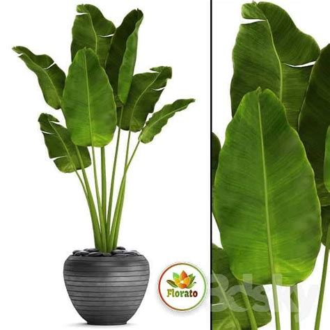 Florato 🔖საოფისე სივრცის დეკორატიული გამწვანება