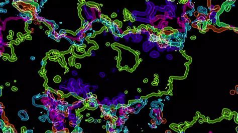 Major Implications For Human Disease Uncovered In Mysterious Microproteins