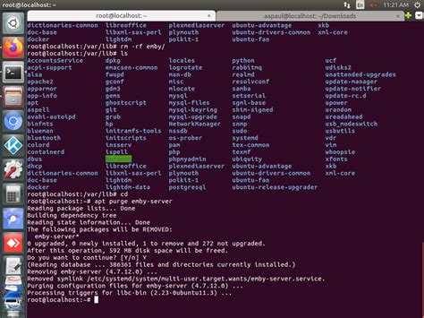 Emby Server Service Or Exe File Is Not Running Linux Emby Community
