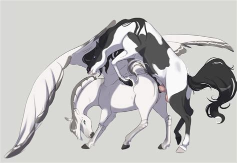 Rule 34 2023 Animal Genitalia Animal Penis Animal Pussy Anus Balls