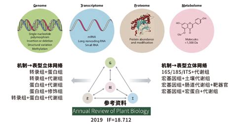 多组学分析服务 多组学联合分析 质谱多组学领航者
