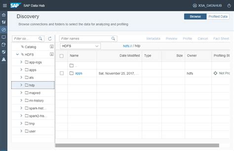 Connect Your Sap Data Hub To Sap Vora And Hadoop Sap Community