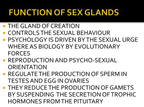 Ppt Bio Psychology Powerpoint Presentation Free Download Id5556424