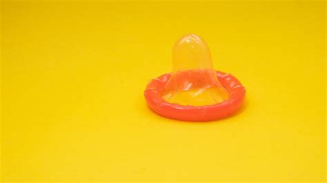 The Gemini Method A Comprehensive Guide Animascorp