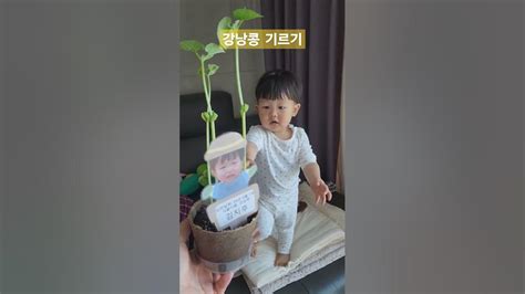 영아놀이 강낭콩 기르기 책육아 놀이 양육 말연습 아빠육아 육아 육아에세이 그림책읽어주기 아이코칭 영아놀이