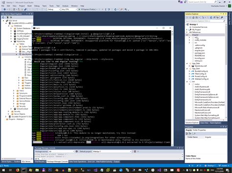 Viacheslav Eremin How To Start Angular Development In Vs2017 Vbnet
