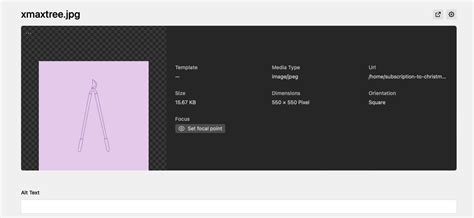V4 Panel Single File View Image Preview Is Not Centred · Issue 5603