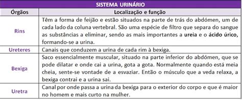 Explorar As Ciências