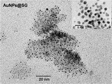 Preparation Method Of Nanocluster Composite Substrate Aunps Sg X Used