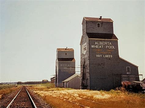 “prairie Sentinels Of The Past” This Picture Of The Alberta Wheat