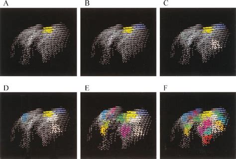 three dimensional representation of clustering algorithm for