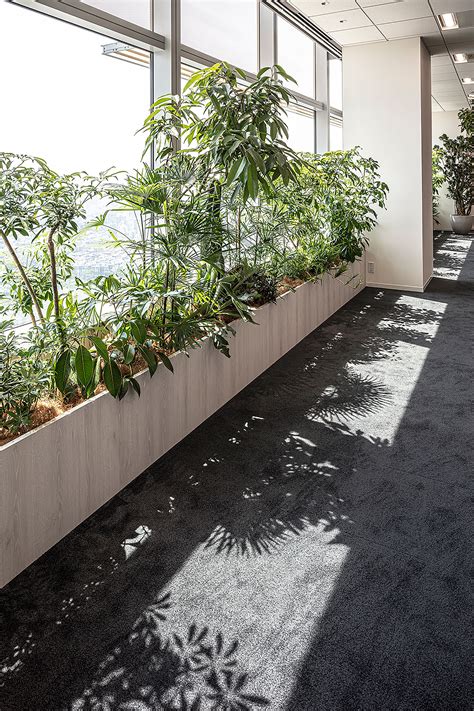 子浦中 シオ建築設計事務所による、東京のオフィス「power X」。自然エネルギーに関わる企業の事務所。事業への“期待感”の空間での表現を目指し、長いアプローチ等でゲストが高揚感を覚える