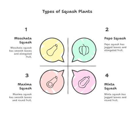 How To Easily Identify Squash Plants By Leaves A Simple Guide