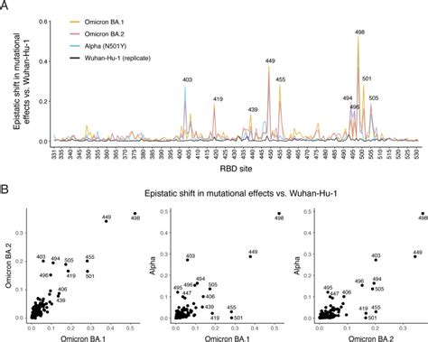 Deep Mutational Scans For ACE2 Binding RBD Expression And Antibody