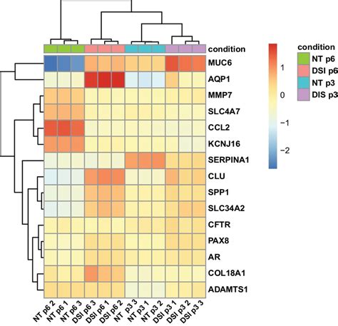 Heatmap And Dendrogram Of Key Markers Of Epididymal Differentiation In Download Scientific