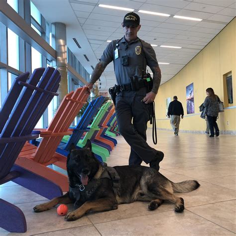 Beloved Horry County Police K9 Bram Dies Police Say Wbtw