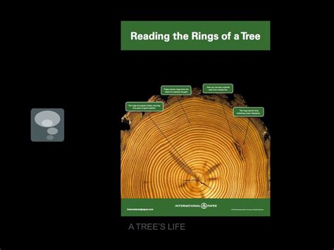 PPT TREES PowerPoint Presentation Free Download ID