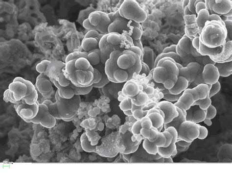 Electron Micrographs Of Tib2 Particles Download Scientific Diagram