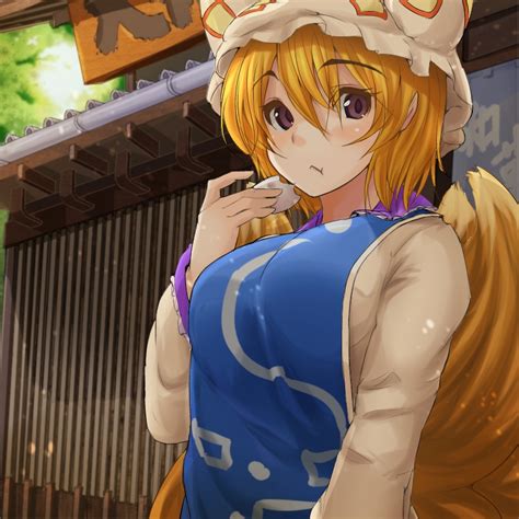 Yakumo Ran Touhou Drawn By Remiria Danbooru