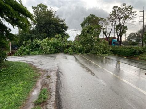 สถานีหนองคาย ด่วน หนองคาย เวลานี้ 17 30 น เกิดพายุพัดถล่มจนทำให้ต้นไม้ใหญ่ล้มทับขว้างถนน