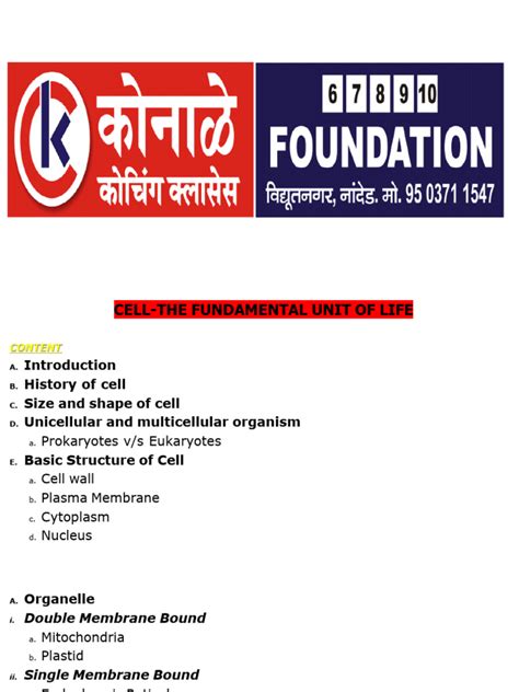 Cell Eukaryotic Pdf Osmosis Cell Membrane